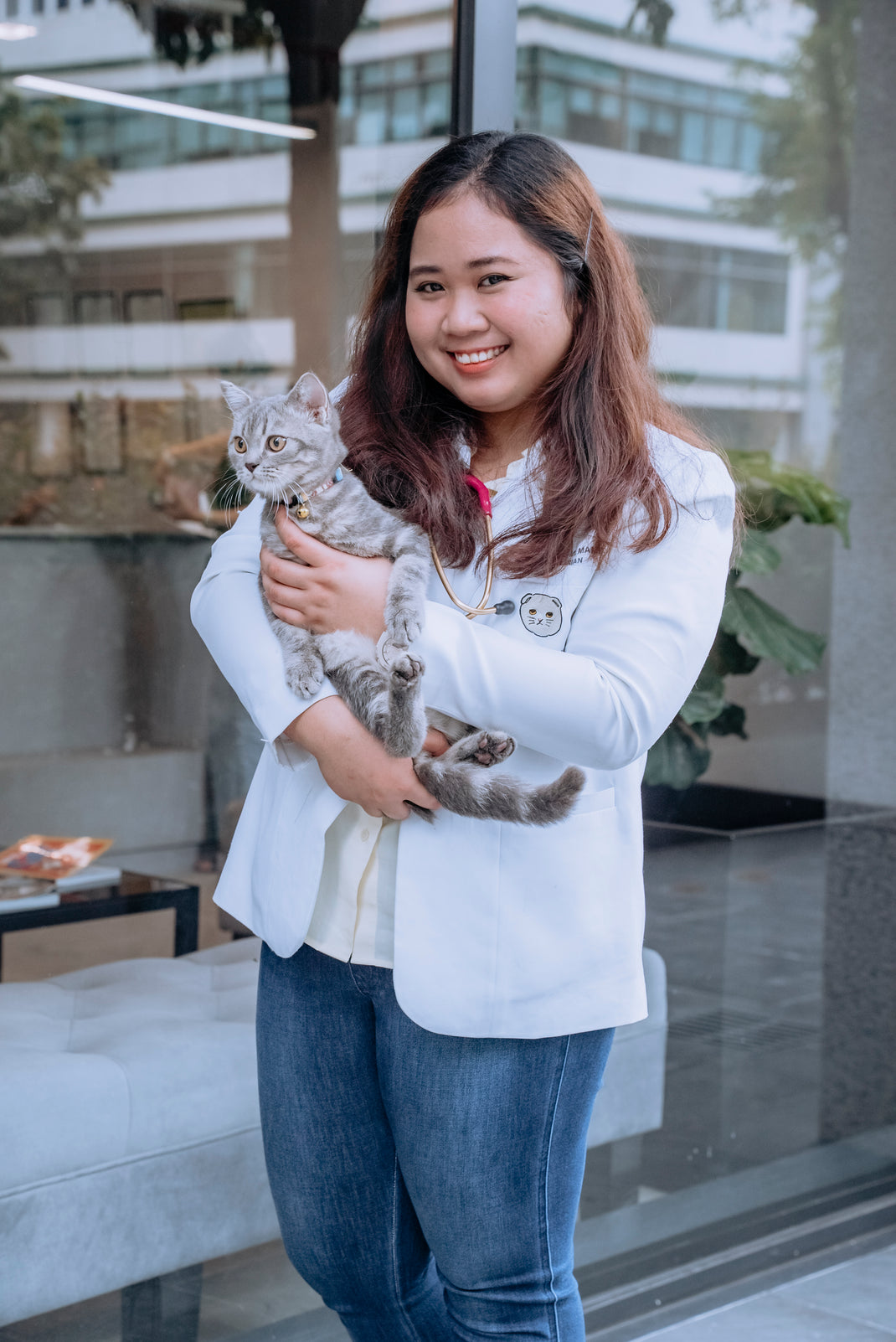 Doc Mitch – The Cat Clinic