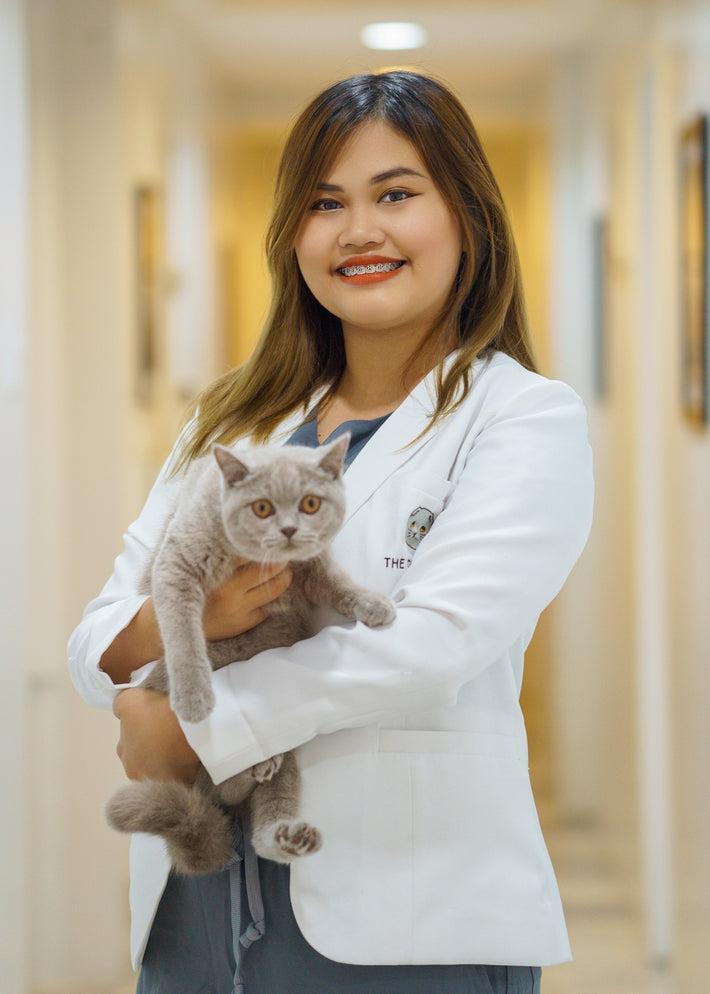 Our Team – The Cat Clinic