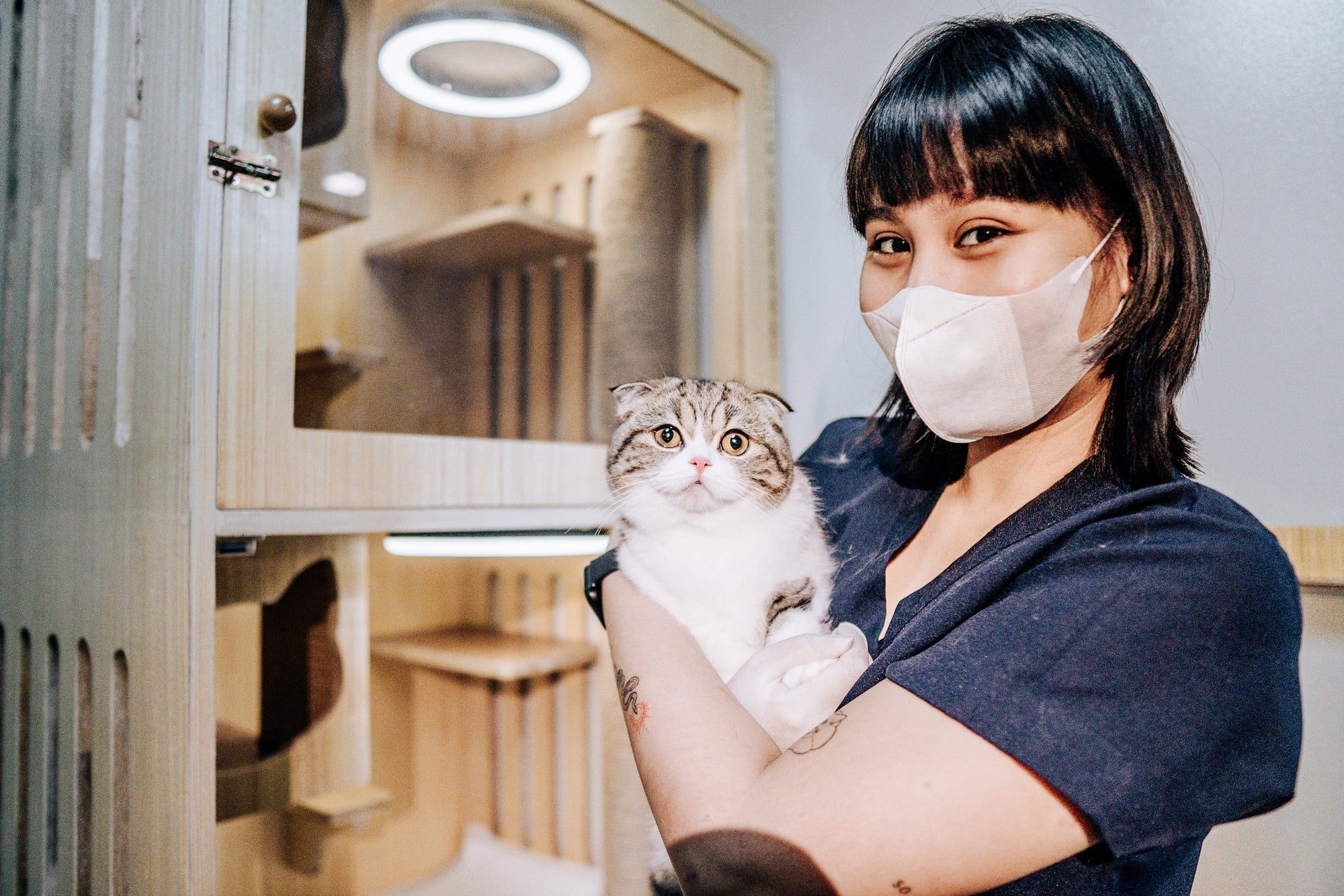Our Story – The Cat Clinic