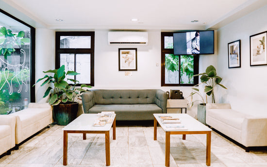 Facility – The Cat Clinic